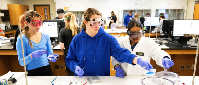 Undergraduate Programs | Chemistry - College of Liberal Arts and ...